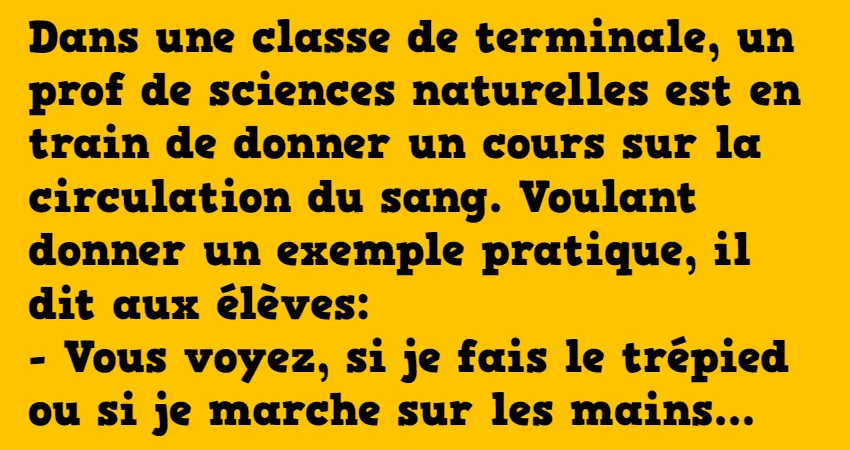 Le cours sur la circulation du sang - Grands Mères