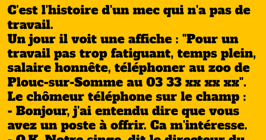 C'est l'histoire d'un mec qui n'a pas de travail. - Grands Mères