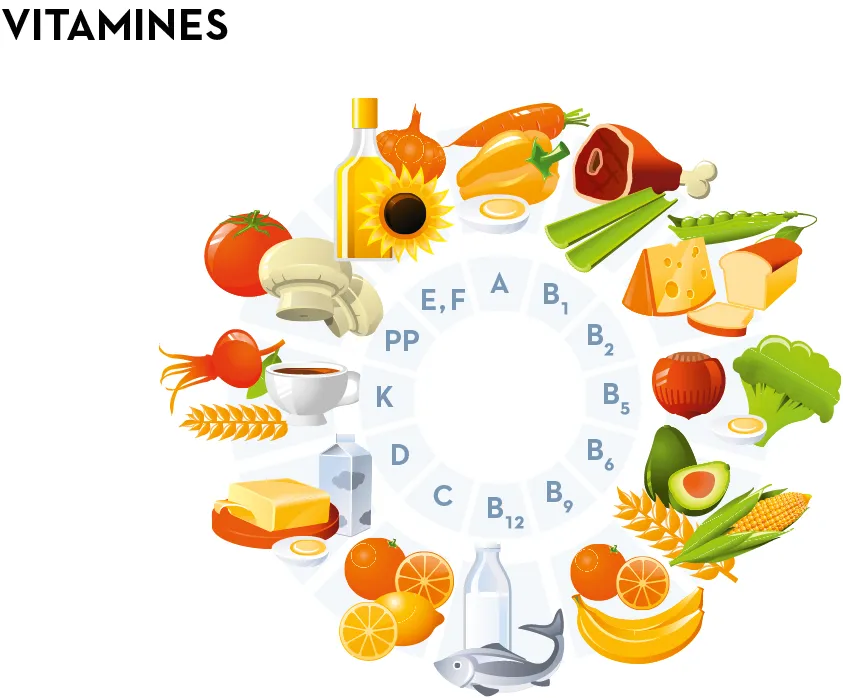 Besoins en vitamines : Importance des vitamines dans le cadre d’un ...