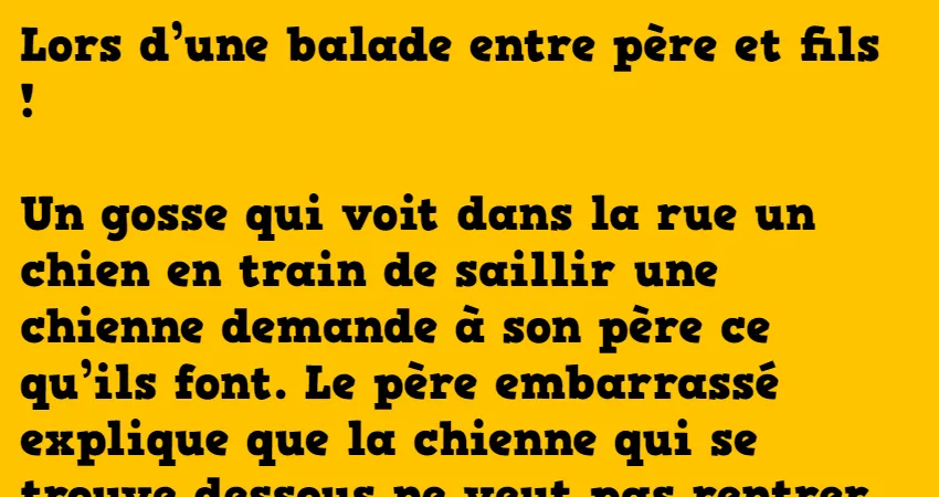 Un chien en train de saillir une chienne ! - Grands Mères