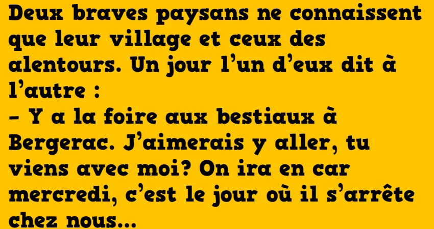 La foire aux bestiaux à Bergerac - Grands Mères