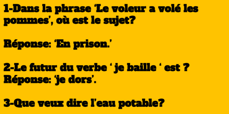 Réponses hilarantes d'élèves de primaire à un examen de français ...