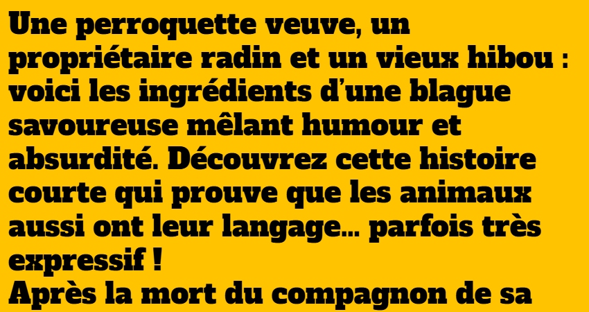 La perroquette veuve et le hibou : Une blague animale hilarante à ...