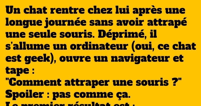Le chat, la souris et l'ordinateur – Une blague Tech hilarante - Grands ...