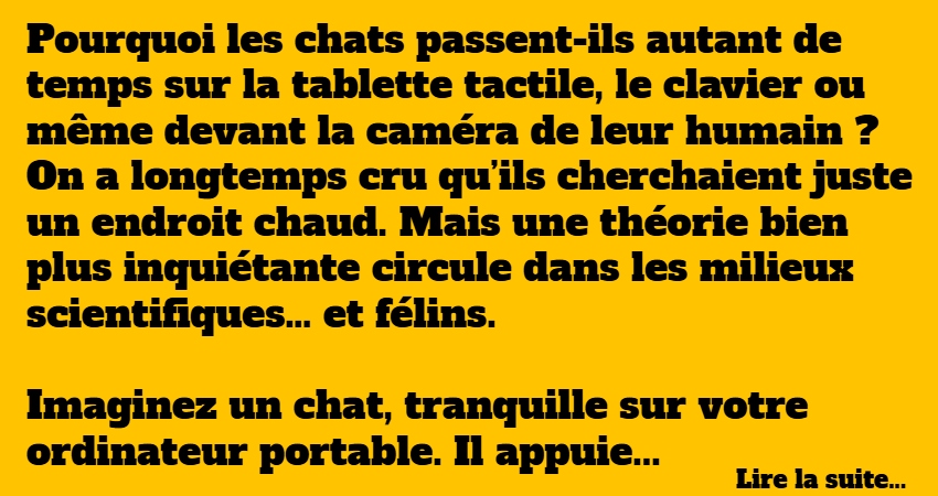 Les chats sont-ils vraiment les maîtres du monde ? Une blague hilarante ...